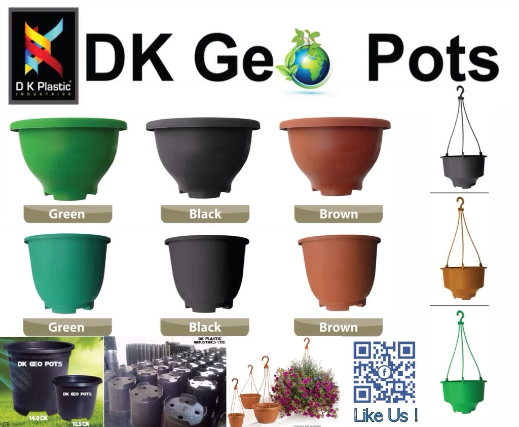 Flower Plant Exporters In Sri Lanka | Best Flower Site