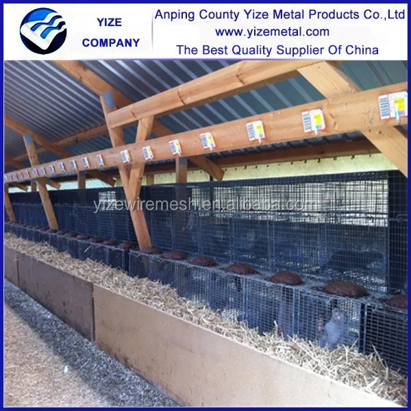 Alibaba China Supplier Mink Cage With Cage Accessory/galvanized Mink ...