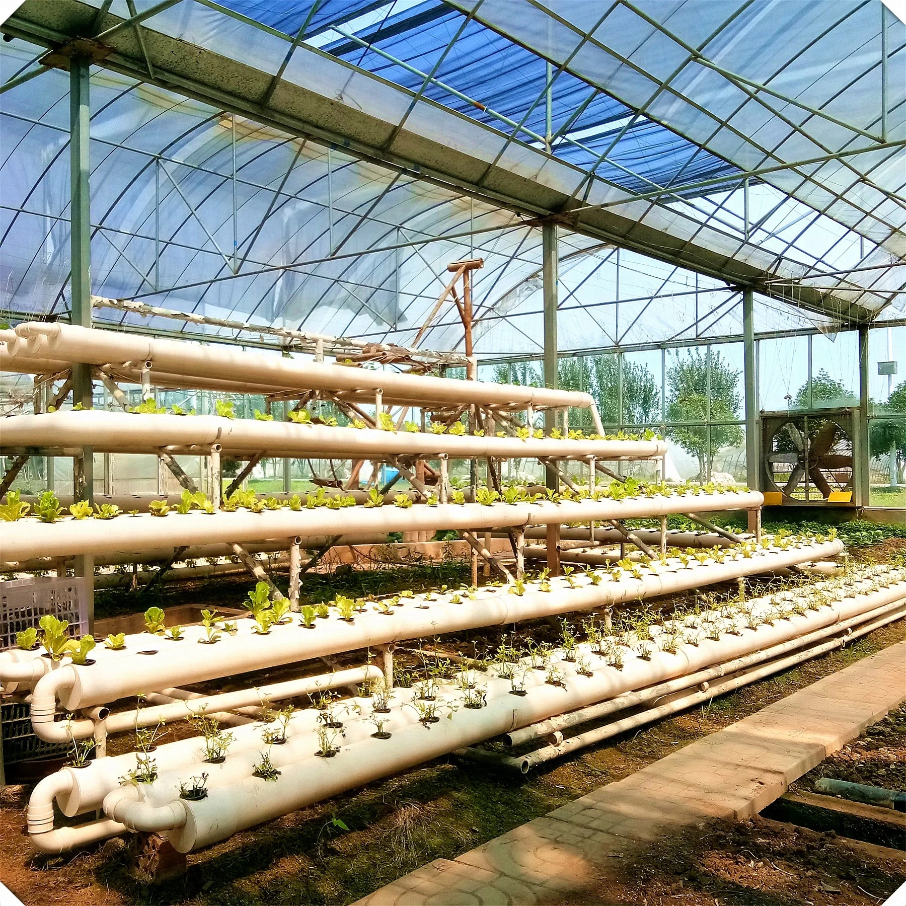 New Hydroponics Grow System Aquaponics Greenhouse - Buy Aquaponics ...