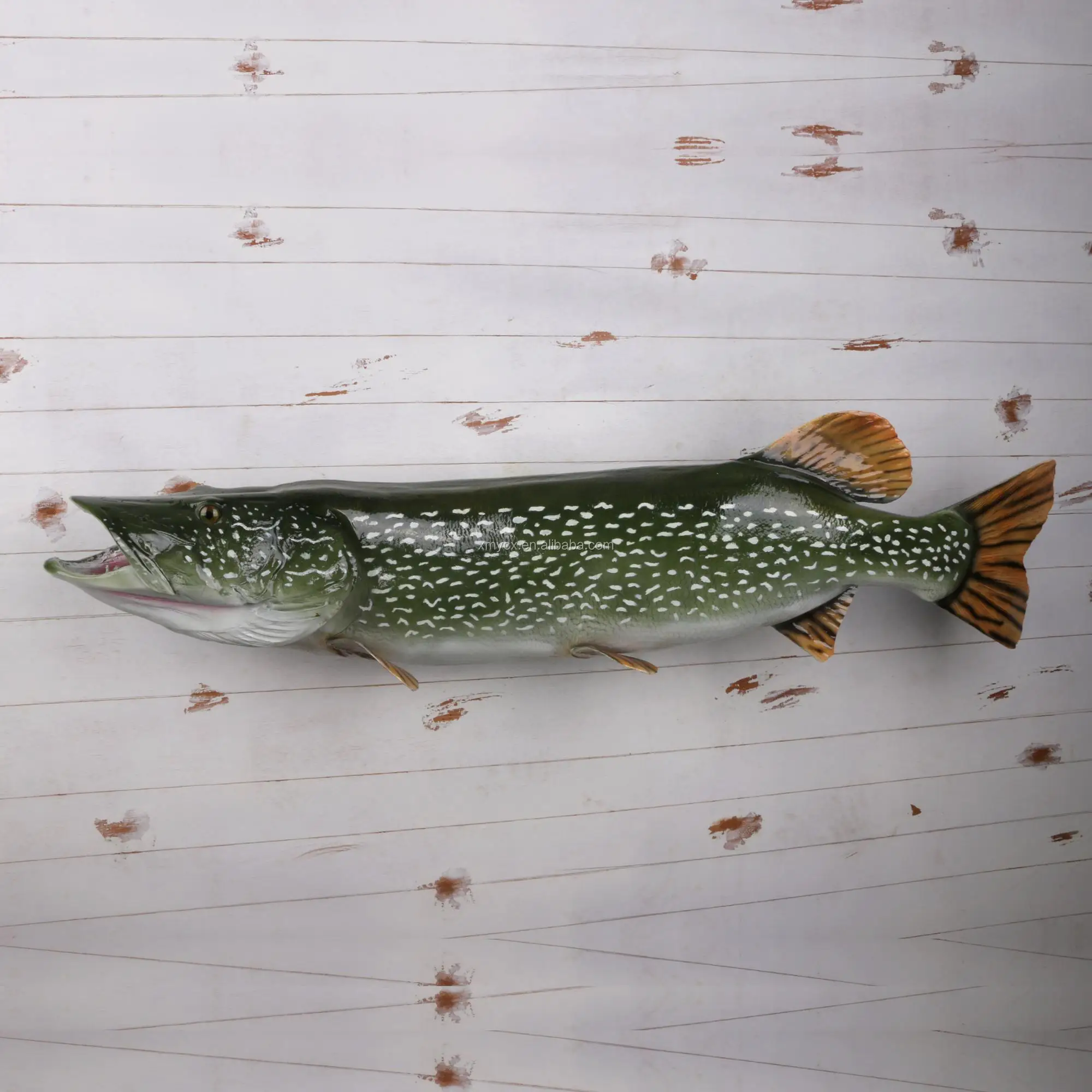 Real Fish Taxidermy Wall Decor - Handmade Faux Fish for Unique Fish ...