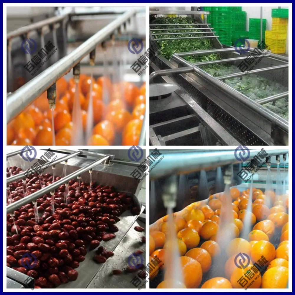 Ozone Apple Washing Machine Vegetable Cleaning Fruit Washing Cutting ...