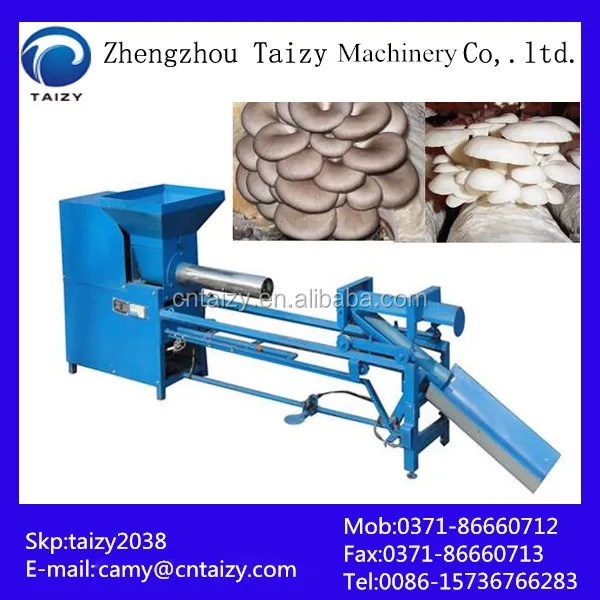 Mushroom Canning Machine | Growing Machine For Pleurotus Eryngii Edible ...