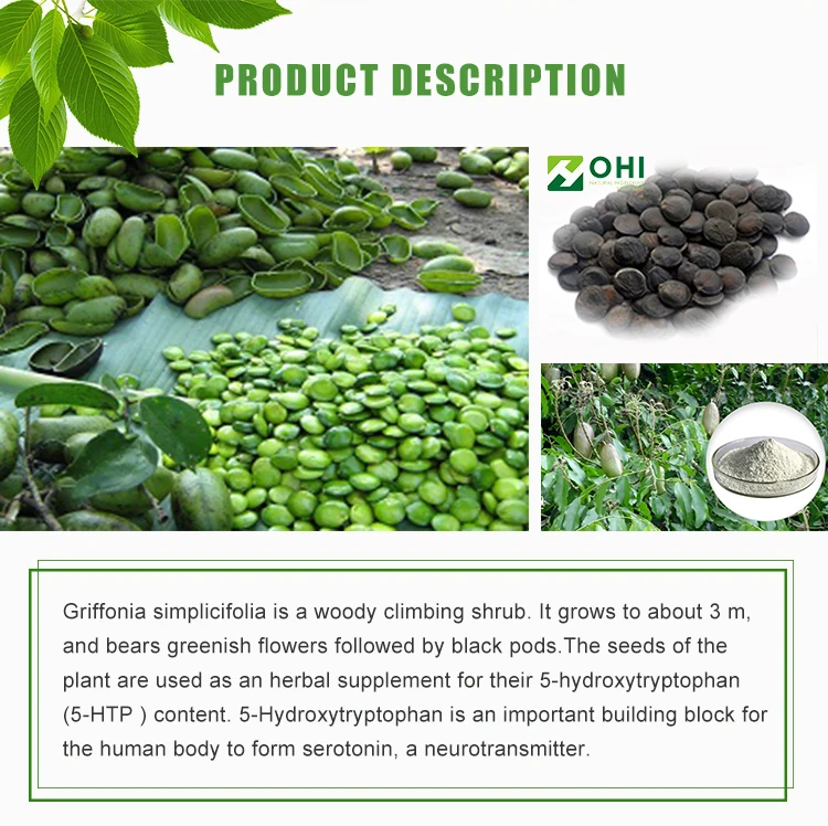 Seed Extraction 5 Htp 4:1 10:1 Griffonia Simplicifolia Seed Extract ...