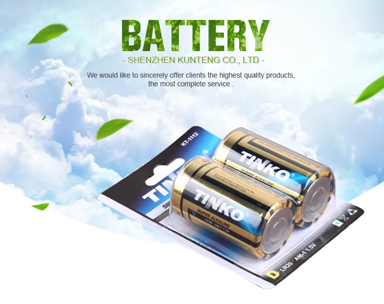 OEM Zn/mno2 Manganese D Size LR20 Battery - 1.5V Alkaline