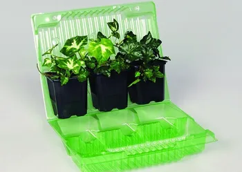 Plastic Recyclable Tree Containers For Sale Blister Packaging For ...