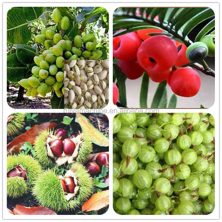 Orchard Electric Fruits Vibration Harvester Car Battery Powered Fruit ...