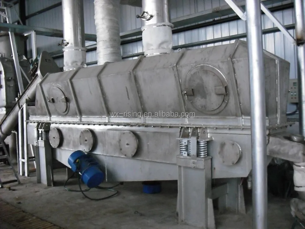 Salt Washing Complete Production Line by RSE - Efficient & Reliable