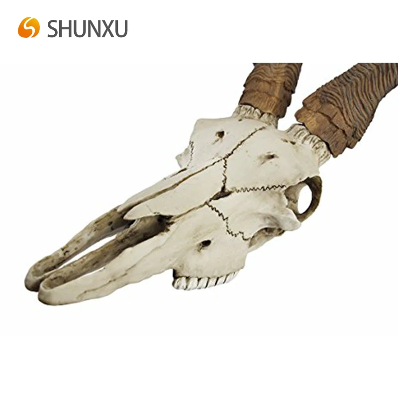 Faux Resin African Kudu Antelope Skull Wall Hanging Cool Twisted Horns ...