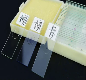 30pcs Bacteriology Microbiology Prepared Glass Microscope Slides Set ...