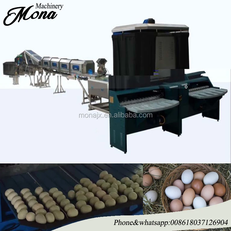 Chicken Egg Sorting Machine |egg Grader Machine Philippines |egg ...