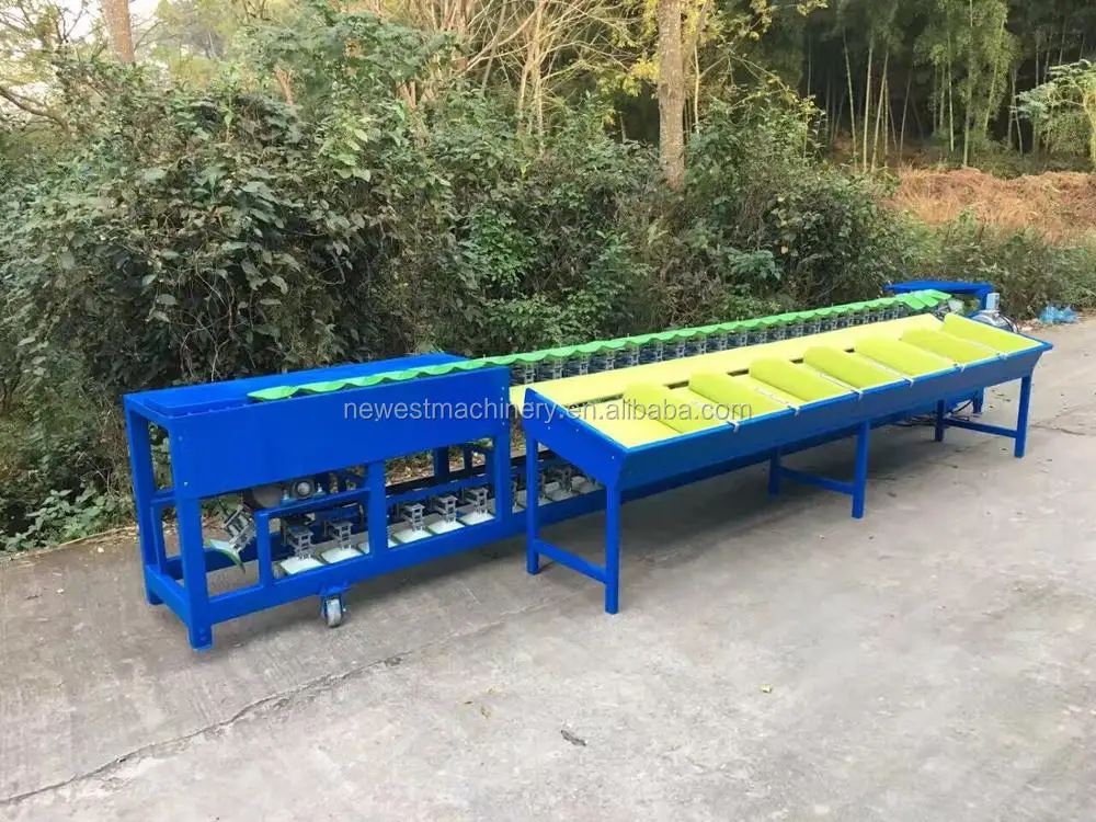 New Design Fruit Weight Grading Sorting Machine/mango Grading Machine ...