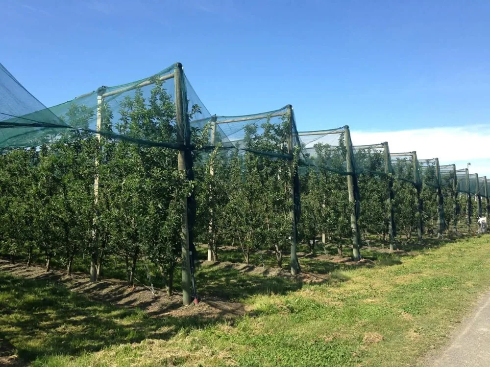 Plant Supply Car Hail Protection - Anti-Hail Net Covers