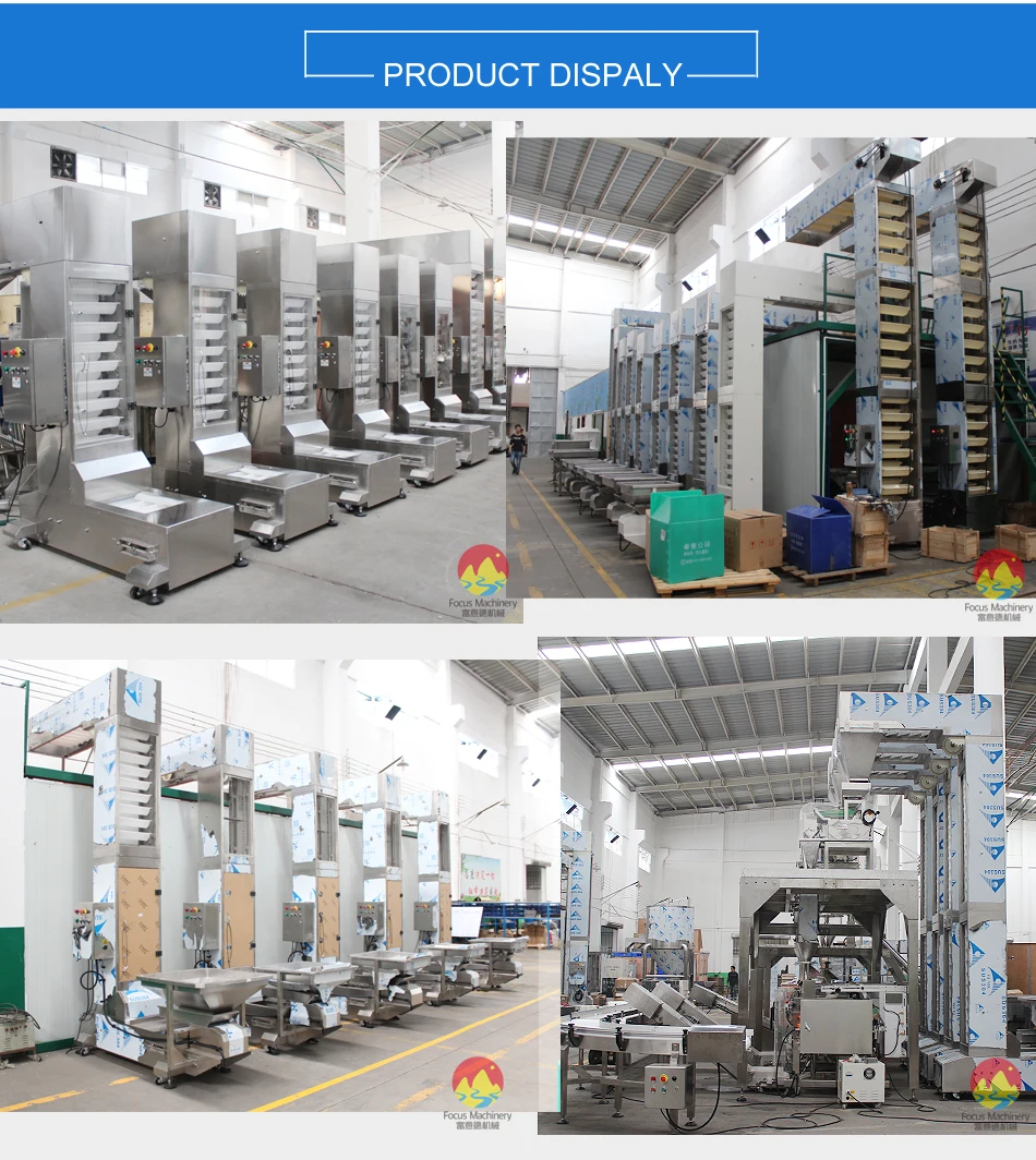 Z-shaped Bucket Conveyor for Beans - Food Grade & Durable