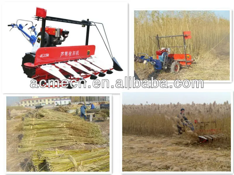 Mini Reed Harvester/reed Reaper/reed Harvesting Machine - Buy Reed ...