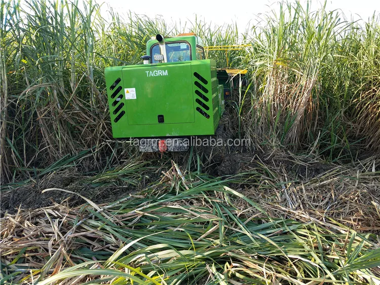 New Design Self-propelled Mini Sugar Cane Cutter Machine / Cane Cutting ...
