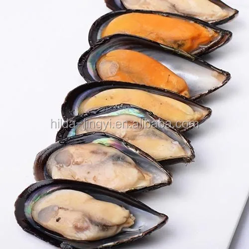 Iqf Mussel Frozen Mussel In Shell - Buy Frozen Mussel,Mussel In Shell ...