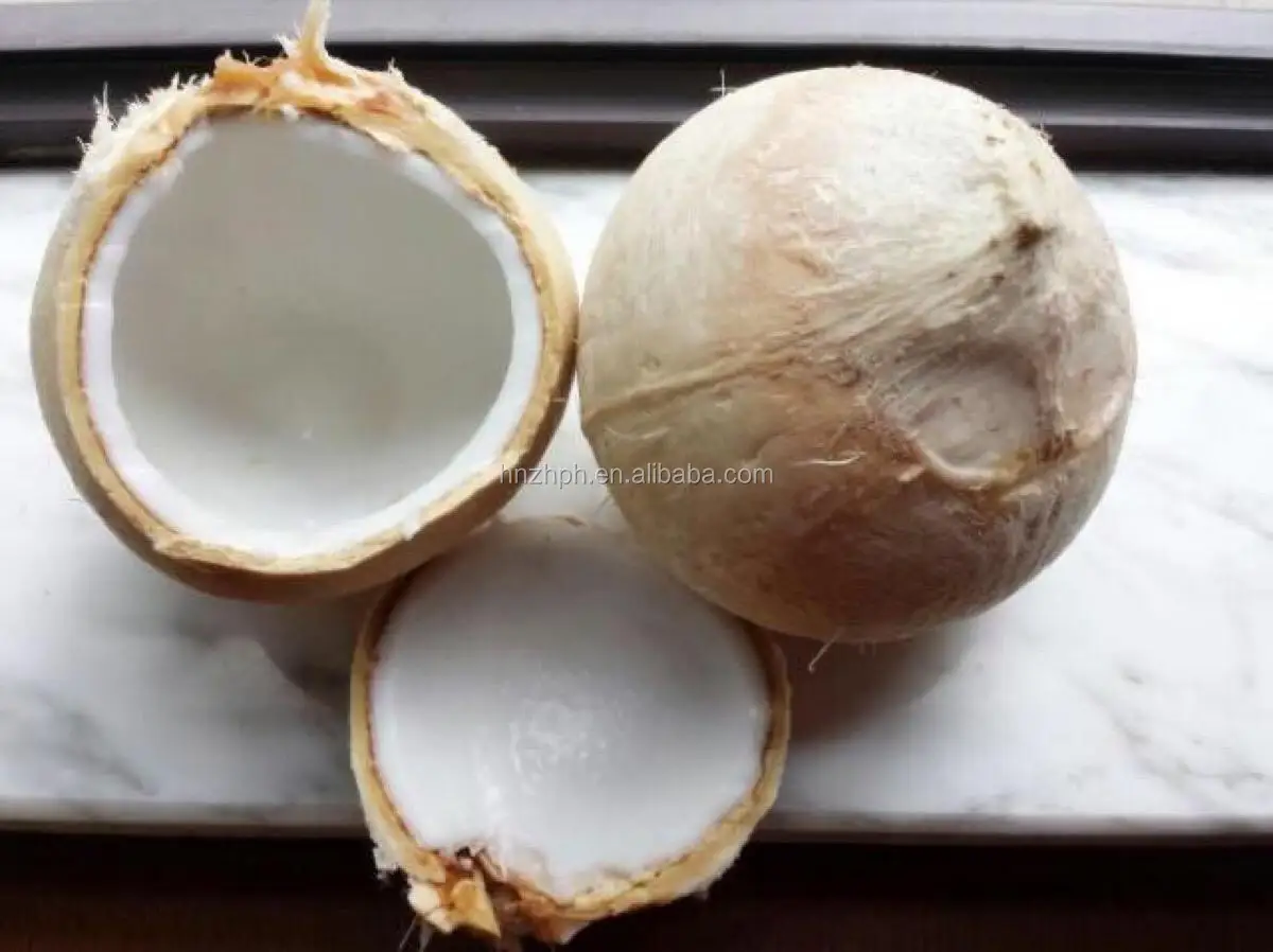 Coconut Grater Machine - Efficient Grinding Solutions
