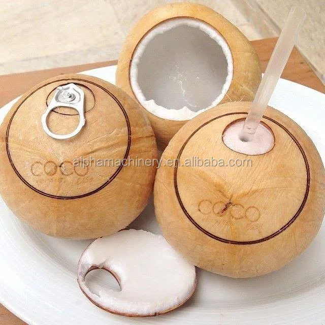 Coconut Shell Laser Cutting And Engraving Machine Make Coconut Like ...