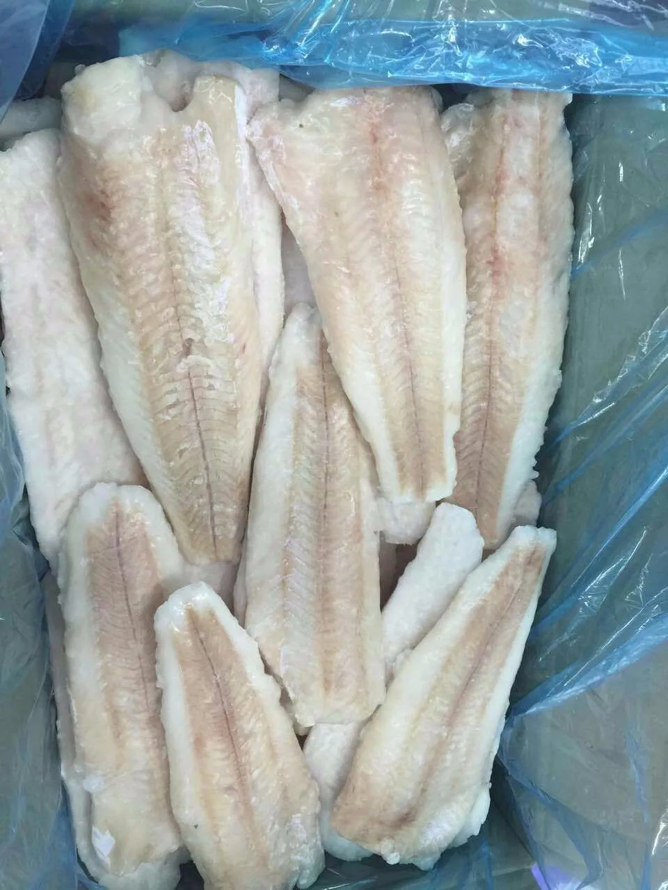 Wholesale Market Canadian Hake Fish Fillet Iqf Frozen Marine Fish From ...