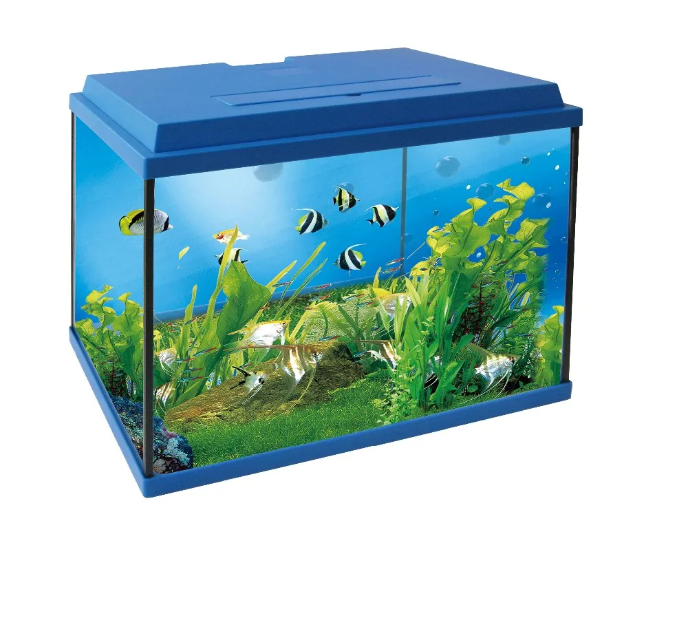 Factory Sales Eco-friendly Big Glass Fish Aquarium Tank Kit With Led ...
