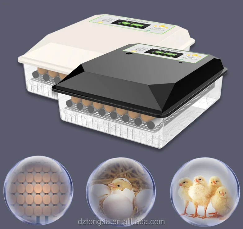 Automatic Chicken Egg Incubator 64 Chicken Eggs - Buy Automatic Egg ...