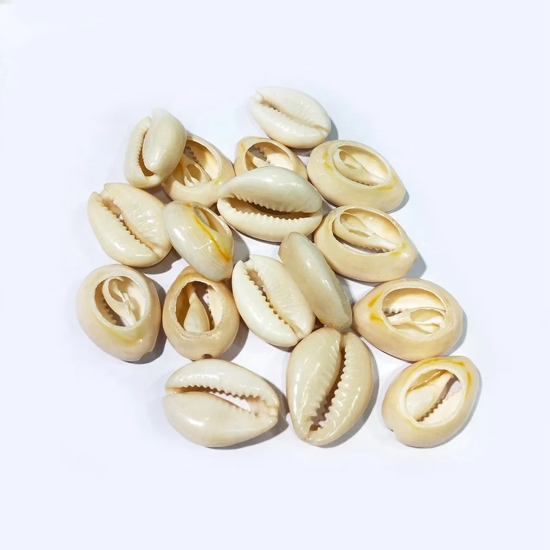 Stock Wholesale Natural White Sea Shell Beads Pendant Seashells Cowry