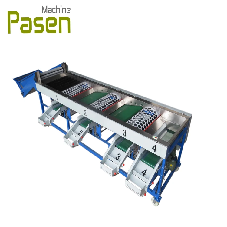 Brush Cleaning Garlic Sorting Machine by Pasen - 2 Year Warranty