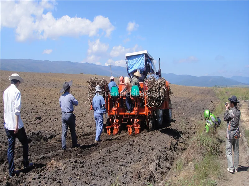 High Evaluation Cassava Planter/cassava Planting Machine/cassava Seeder ...