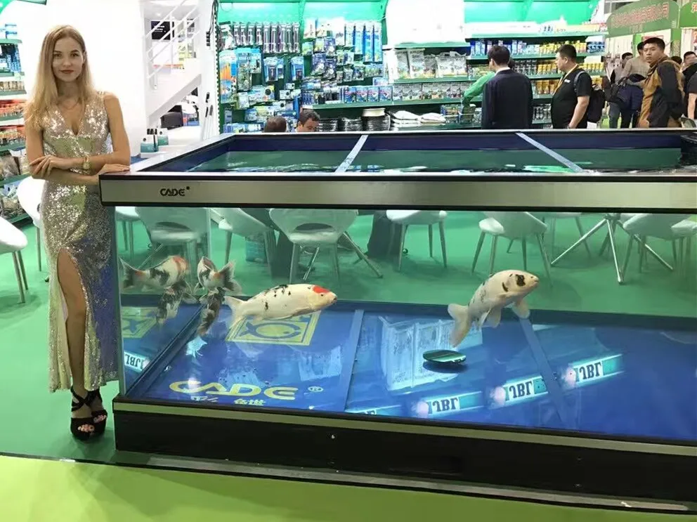 Small Cheap Red Sea Fish Tank - Buy Red Sea Fish Tank,Cheap Red Sea ...