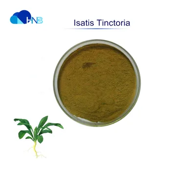 Natural Indigowoad Root Extract Isatis Tinctoria Extract Powder - Buy ...