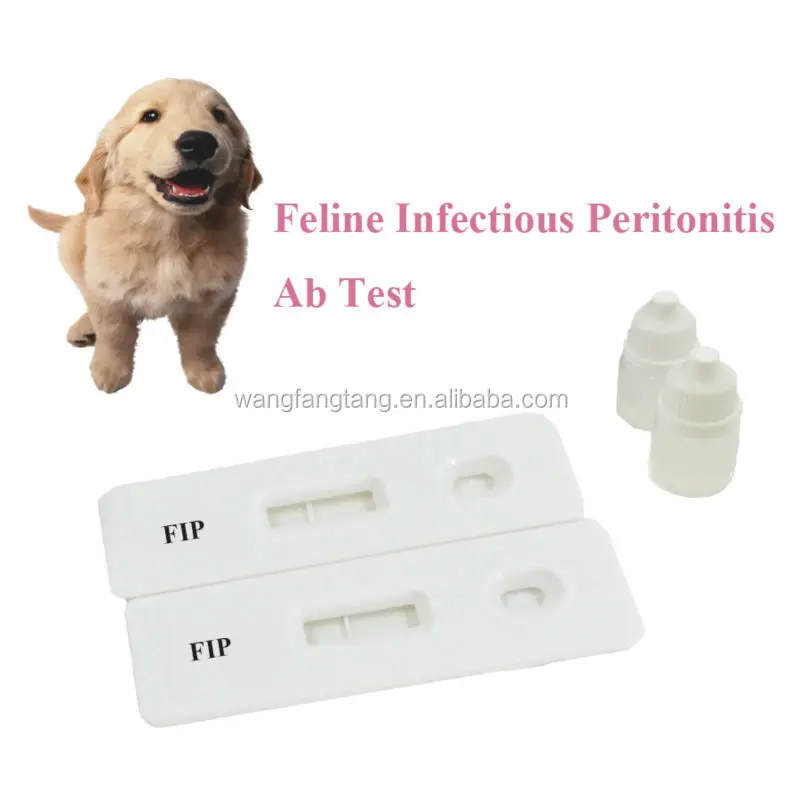 Animal Cat Rapid Test Feline Infectious Peritonitis Test Kit Fip Test ...