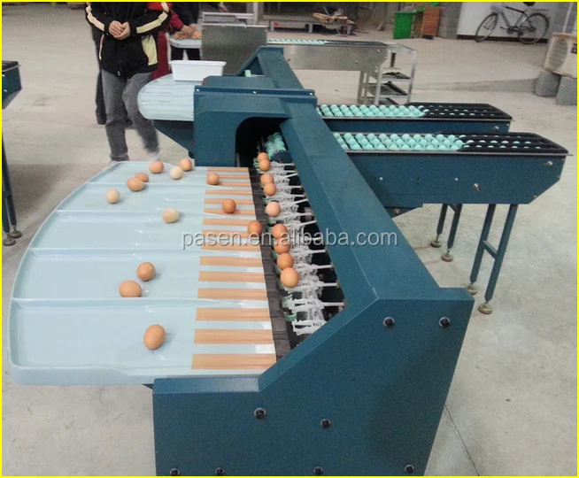 Good Price Egg Grader/egg Sorting Machine/egg Weight Grader Machine ...