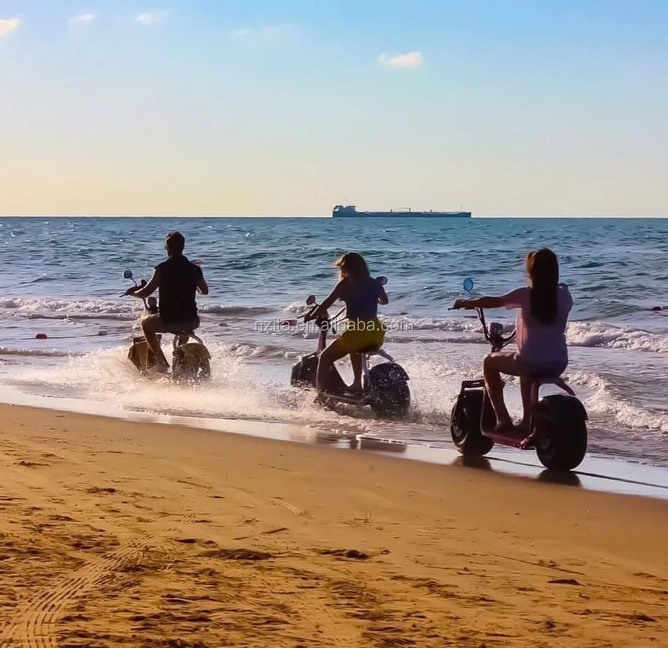 X10 Tricycle Citycoco Wiring Diagram Europe Warehouse Electric Scooter