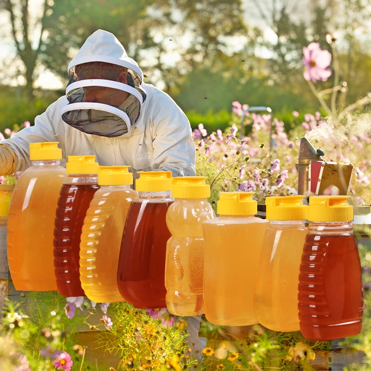 Honey Bear Jars - Durable Plastic Containers for Honey
