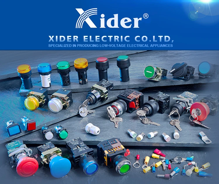 Xider Selector Keylock Push Button Switch 1no 1nc 10a Xb2-bg53 - Buy ...