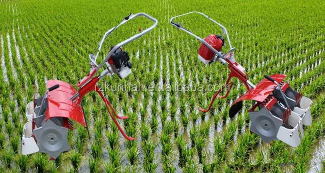 Efficient Weeding Machine for Rice Cultivation - Rotary Weeder