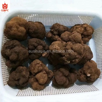 Fresh Chinese Black Tuber Indicum - Buy Tuber Indicum Clice,White Tuber ...