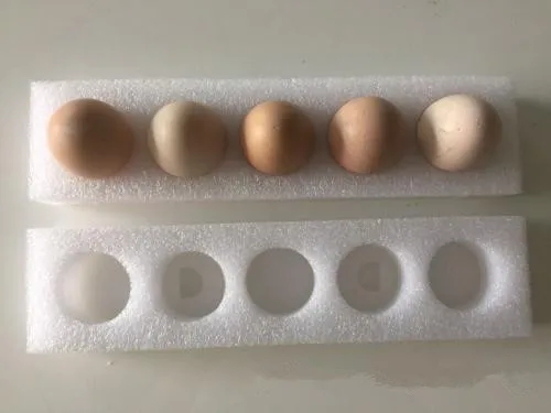 Egg Insert Packaging Tray Die Cutting Foam Insert EPE