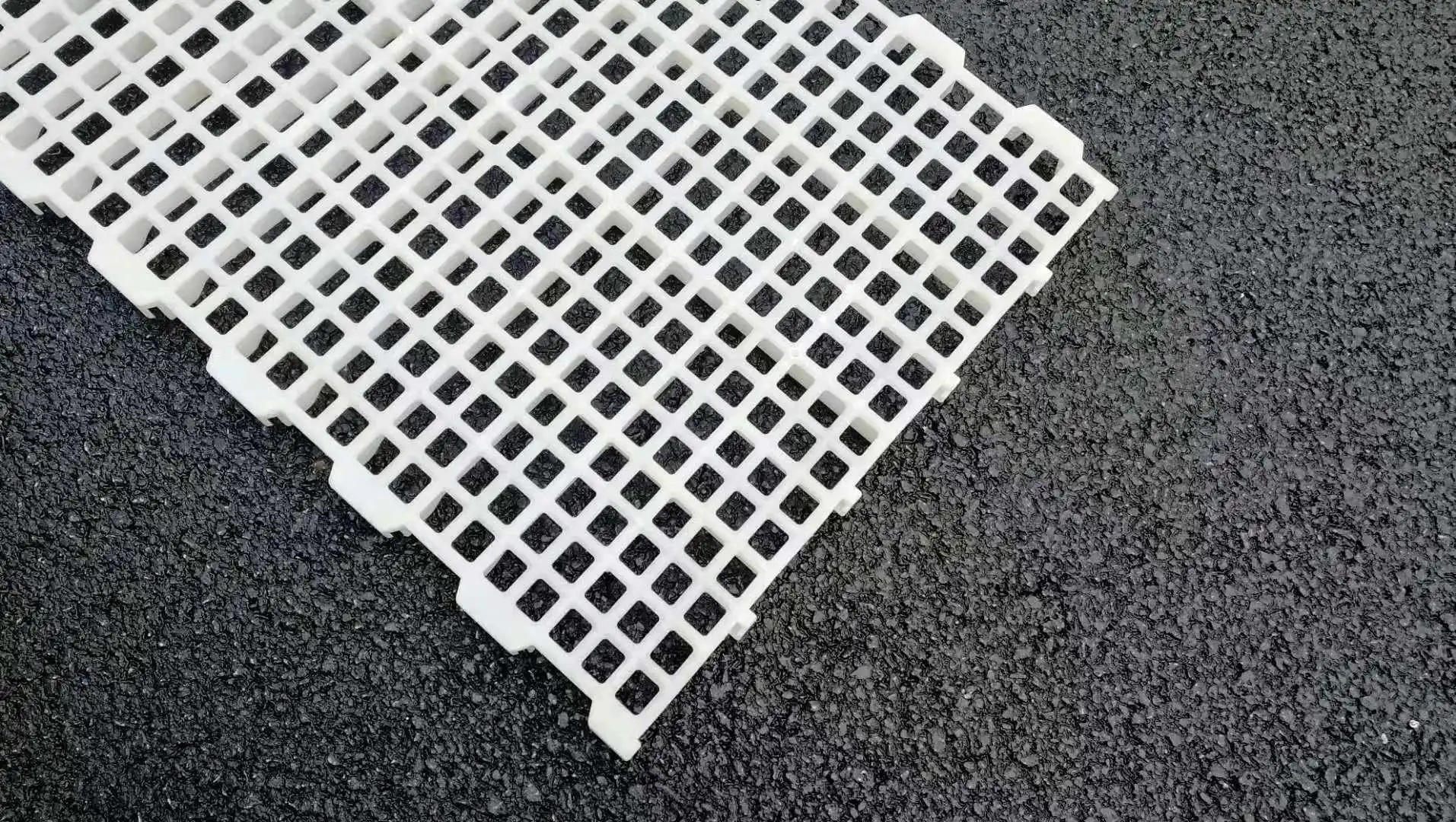 Goldenest Hot Sale Poultry Equipment Plastic Slats for Poultry Slat ...