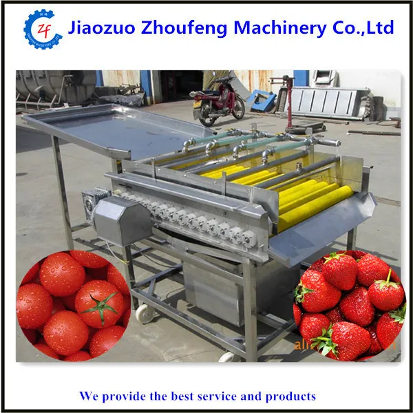 Industrial Strawberry Washing Machine /fruit Washing Machine /apple ...