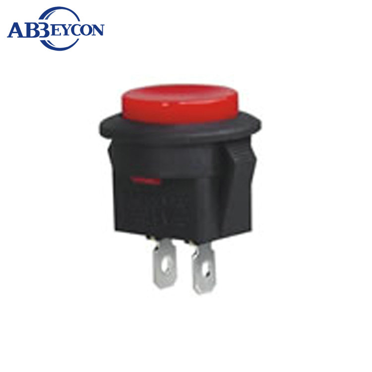 NS228 DS-858 OFF-(ON) 6A 20mm Pushbutton Switch Plastic Cover