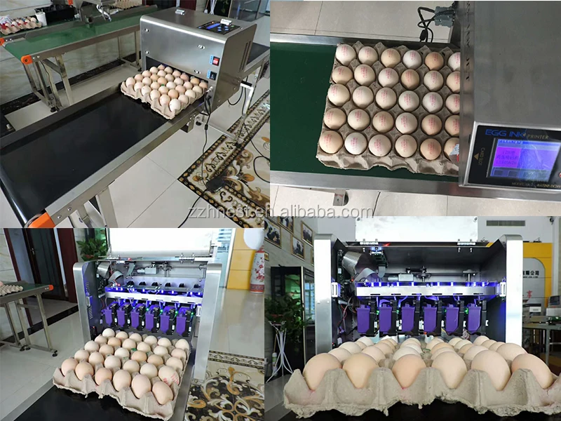 Automatic Inkjet Egg Printing Machine / Egg Stamping Machine - Buy Egg ...