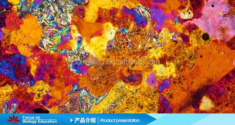 Fixed Items Geology Slide Study Rock Thin Section Microscope Slides ...