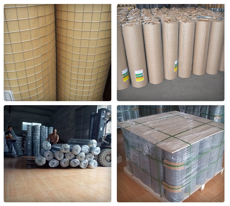 Cheap Heavy Duty PVC Coated Galvanized Welded Wire Mesh