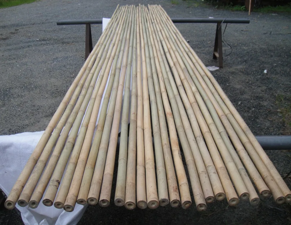 Durable Bamboo Cane for Sale - Support Your Garden Plants