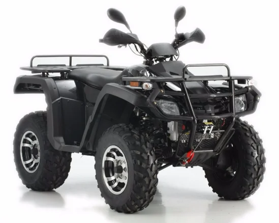 Buyang Feishen 300cc Atv Quad FA-D300 D300 H300 G300 Throttle Control 4 ...