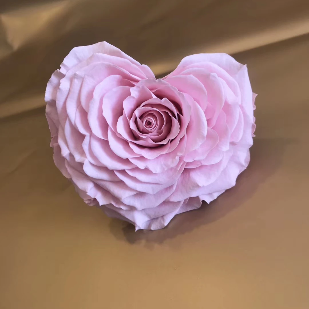 Love Eternity Stabilized Preserved Roses In Glass Tubes Dome For ...