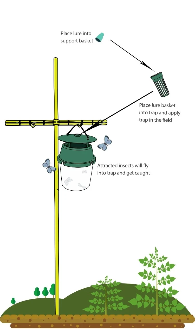 Bucket Funnel Traps - Effective Insect Control Solutions