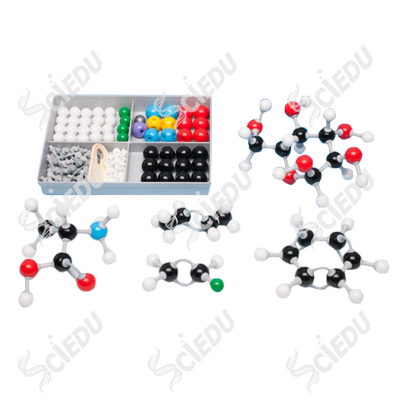 School Science Teaching Biochemistry Molecular Models - Buy Molecular ...