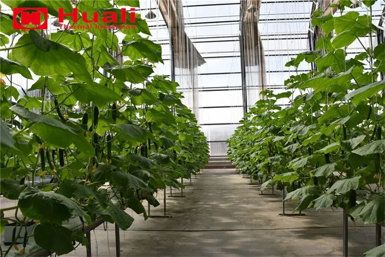 Hydro Rockwool Mineral Wool Grow Slabs Hydroponics Insulation Rock Wool ...